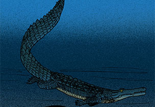 Novidades - Laboratório de Paleontologia USP - Ribeirão Preto