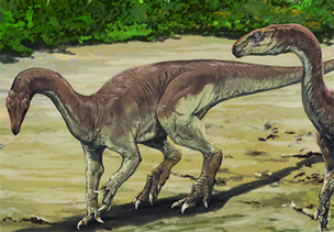 News - USP Paleontology Lab - Ribeirão Preto