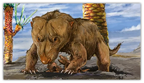 Fósseis Estudados - Laboratório de Paleontologia USP - Ribeirão Preto